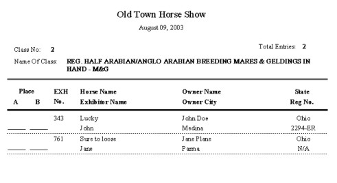 Horse Show Assistant